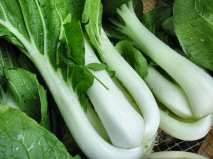 Beautiful bok choi - Tiny Farm Blog