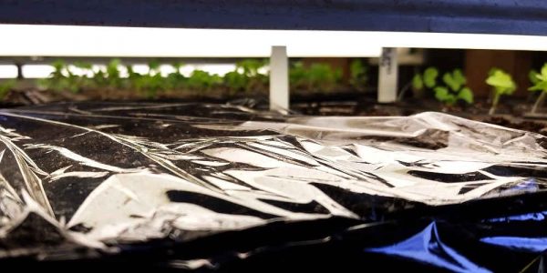 Tiny Farm Blog - Growing vegetables for the local food market!