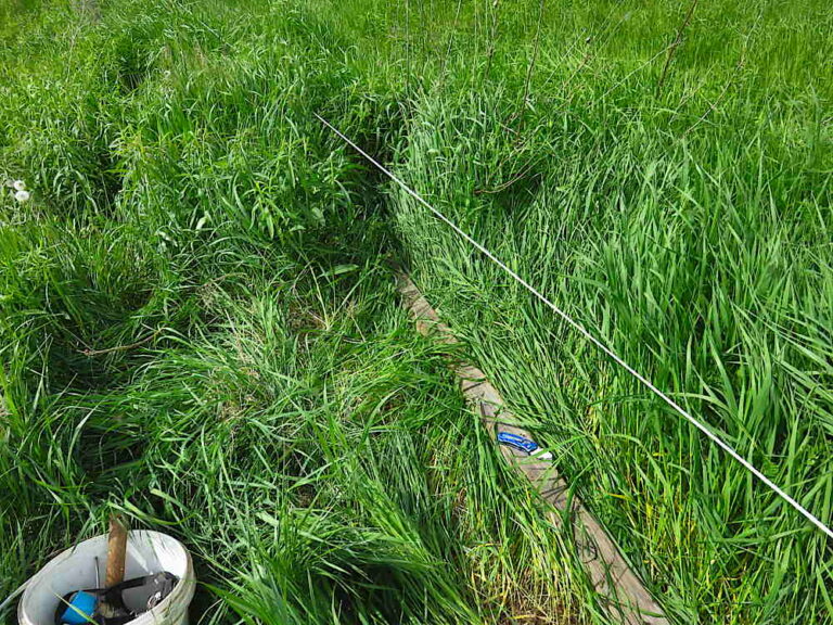 Boldly low-tech grass clearing method - Tiny Farm Blog